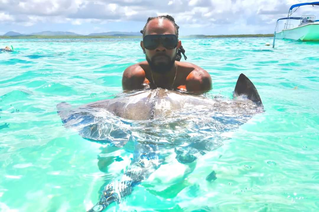 Stingray City Antigua: Stingray & Snorkel Tour - reservemytours.com